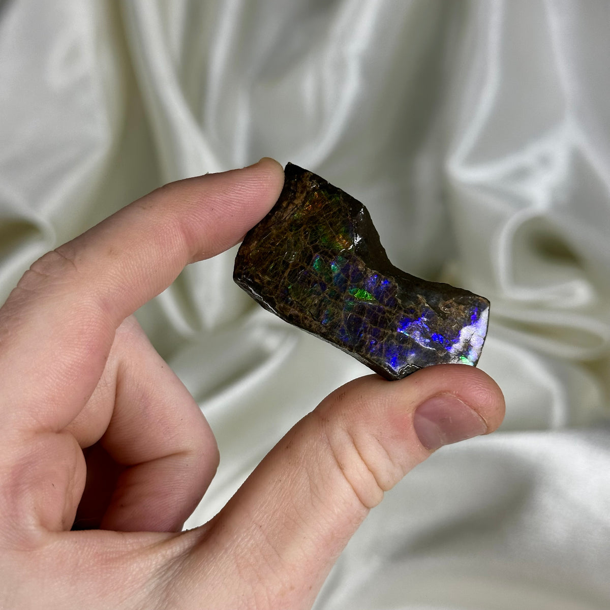 Rainbow Spectrum Gem Ammolite Slab – ArtByJacStudio